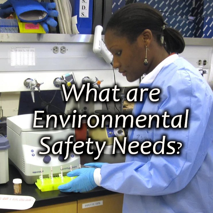 What are Environmental Safety Needs?