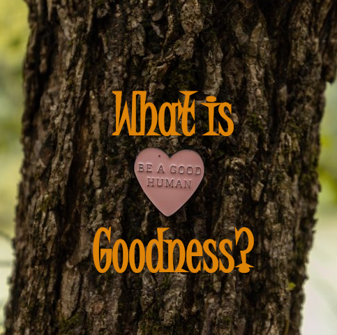 What is Goodness?
