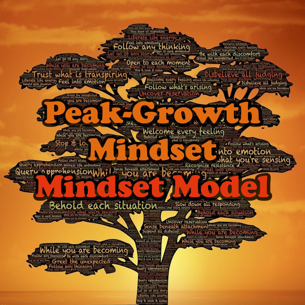 Peak-Growth Mindset