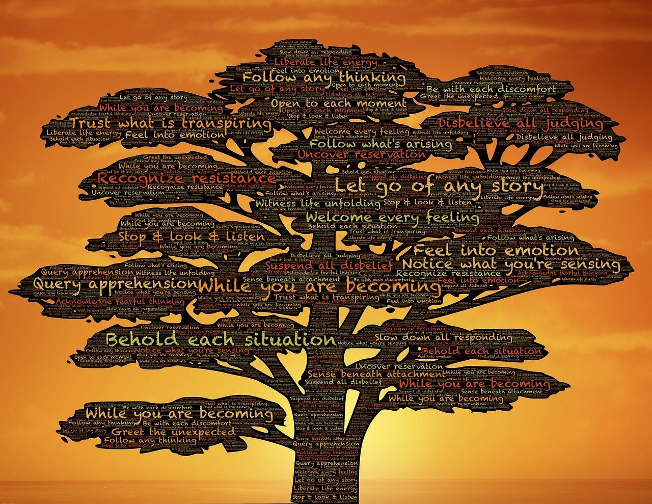 Peak-Growth Mindset