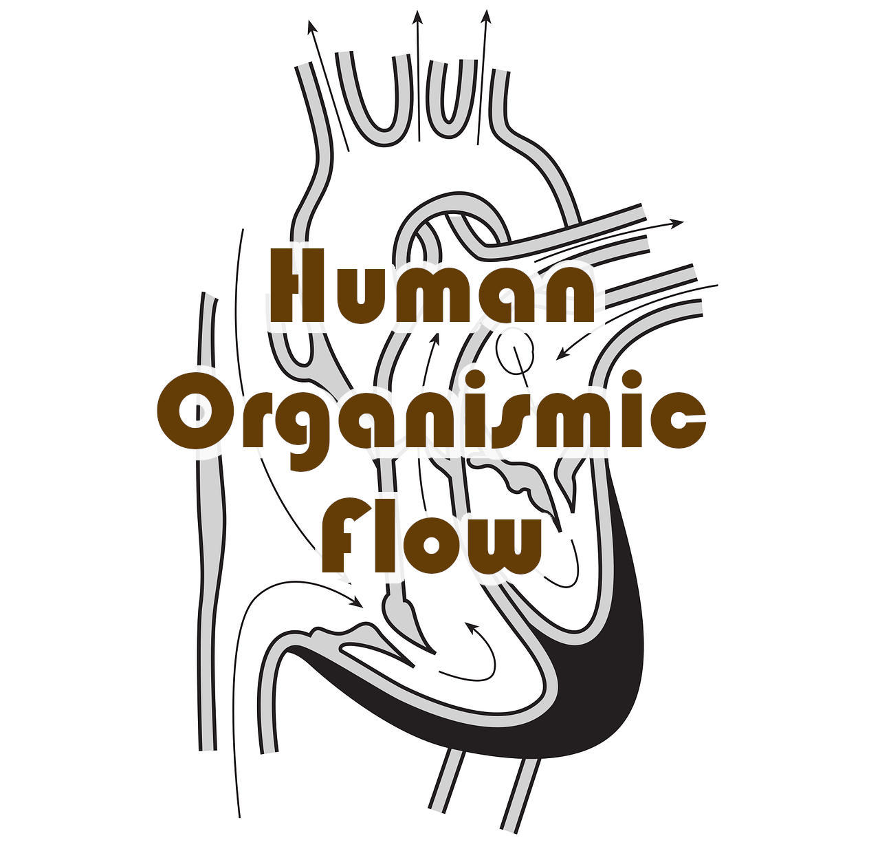 The Organismic Flow - Simple Guides